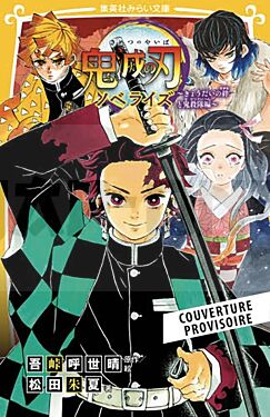 DEMON SLAYER - ROMAN JEUNESSE T02 9791039120012
